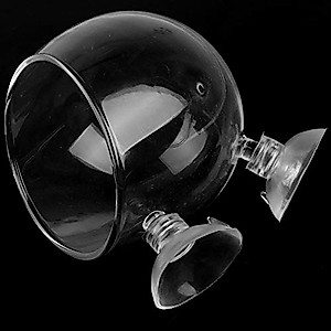 DGZZI Crystal Glass Aquatic Plant Pot Aquarium Aquatic Planter Holder with 3PCS Suction Cups for Fish Tank Aquarium Decoration