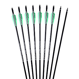 PANDARUS Archery 30inch 8mm Fiberglass Hunting Practice Arrows with Replaceable Arrowhead Spine 500 for Recure and Compound Bow Target