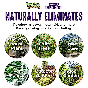 Trifecta Crop Control Ready to Use Maximum Strength Natural Pesticide, Fungicide, Miticide, Insecticide, Help Defeat Spider Mites, Powdery Mildew, Botrytis and Mold on Plants 32 OZ Size