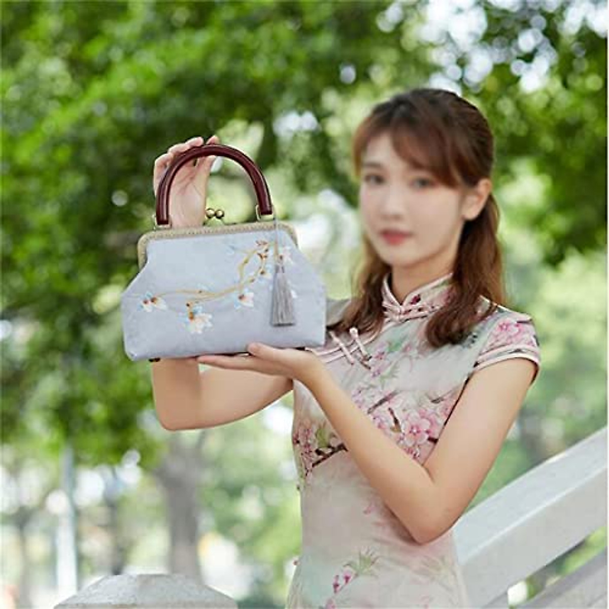 ZLXDP Traditional Embroidered Mouth Gold Bag Chinese Tassel Handbag Women's Cheongsam Bag Dinner Handbag (Color : E, Size : 26x17x8cm(LxHxW))