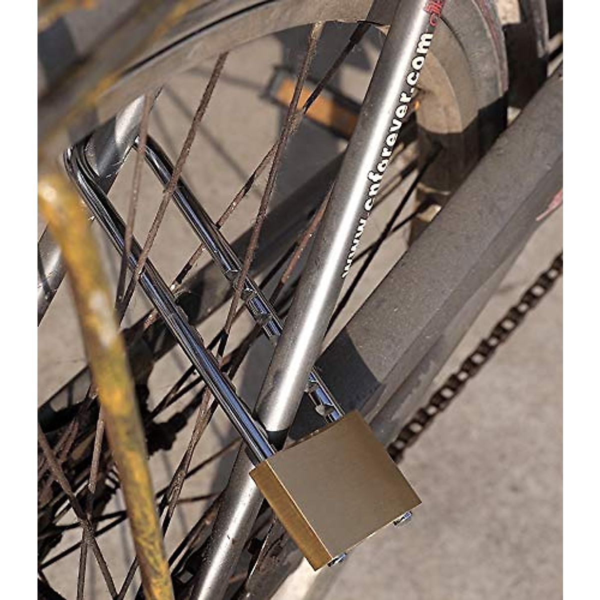 Fu Volante Solid Brass Padlock, 2 inch Wide Body, Outdoor Lock with Removable Adjustable-Length Shackle