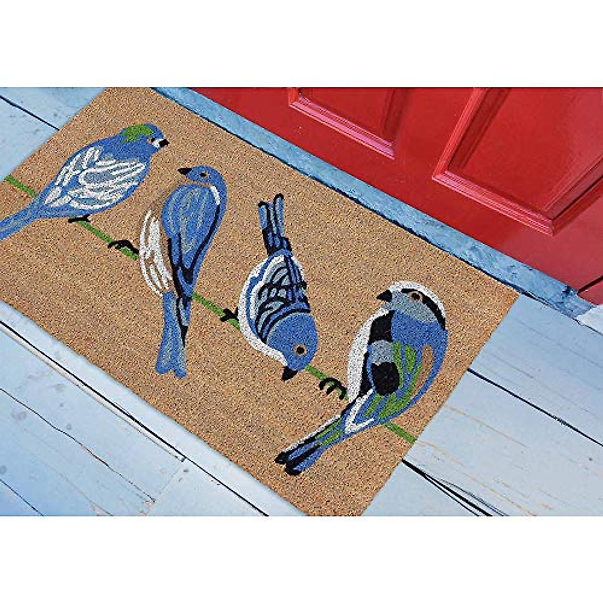 Liora Manne Natura Doormat Non-Slip Natural Fiber Outdoor Mat-Animal, Blue Birds Natural 2' x 3'