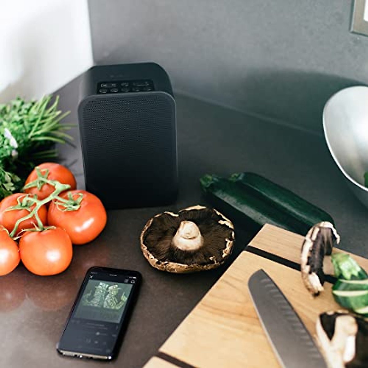 Bluesound Pulse Flex 2i Portable Wireless Multi-Room Smart Speaker with Bluetooth - Black - Compatible with Alexa and Siri