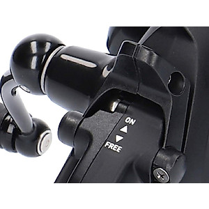 Daiwa 19 Black Widow BR LT 5000-C