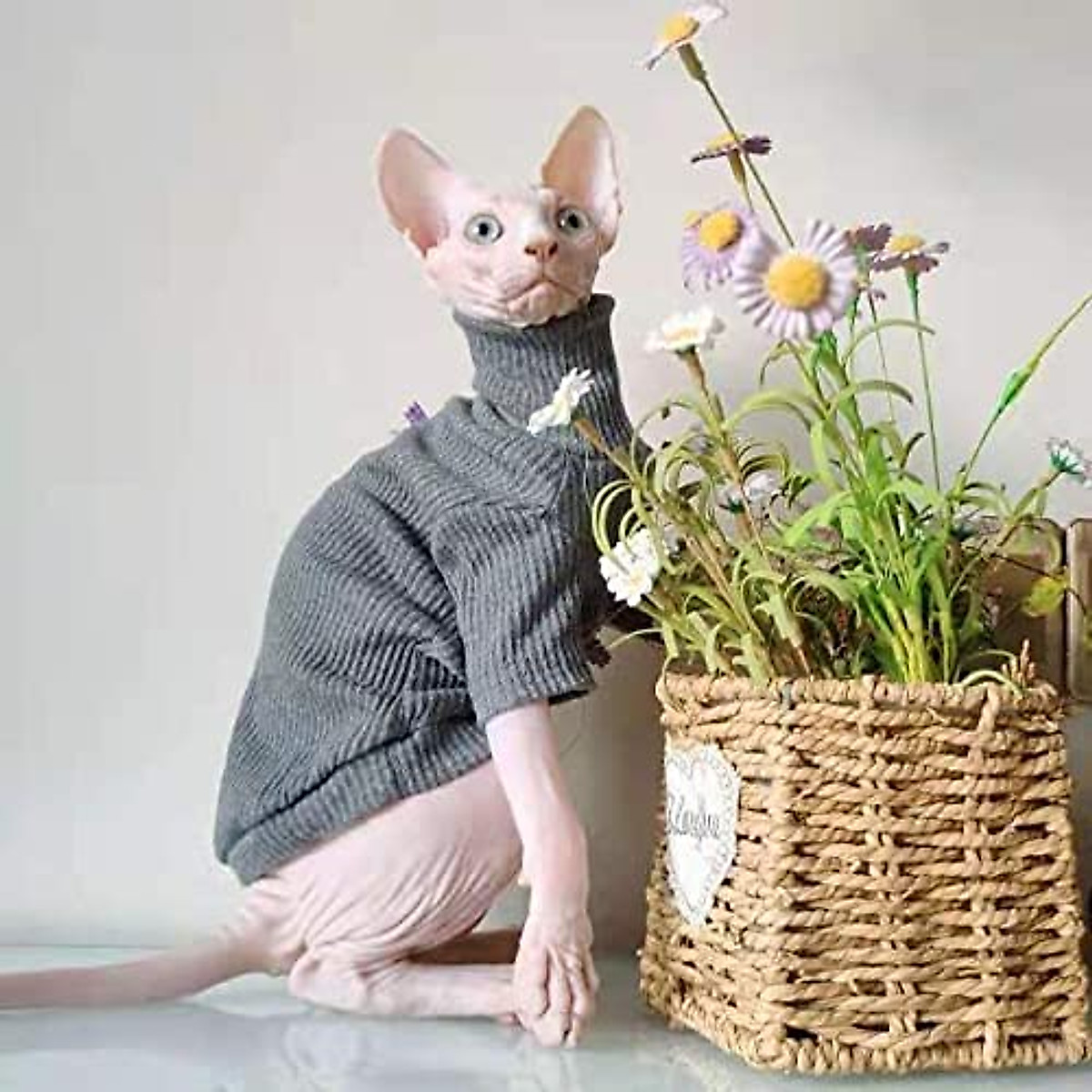 Sphynx Cat Clothes Comfortable and Soft Sweater Hairless Cat Sphynx,Devon, Connis Cat Autumn and Spring Clothes for Cats & Small Dogs (L, Pink)