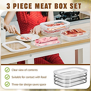 Tioncy 17oz Modula Rounded Food Storage Box with Lid Set of 3 Lunchmeat Storage Container for Fridge Stackable Cold Cuts Vegetable and Cheese