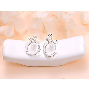 DAOCHONG S925 Sterling Silver Small Huggie Dragonfly Hoop Earrings for Women Ear Jewelry Birthday Gift (Dragonfly Small Hoop Earrings)