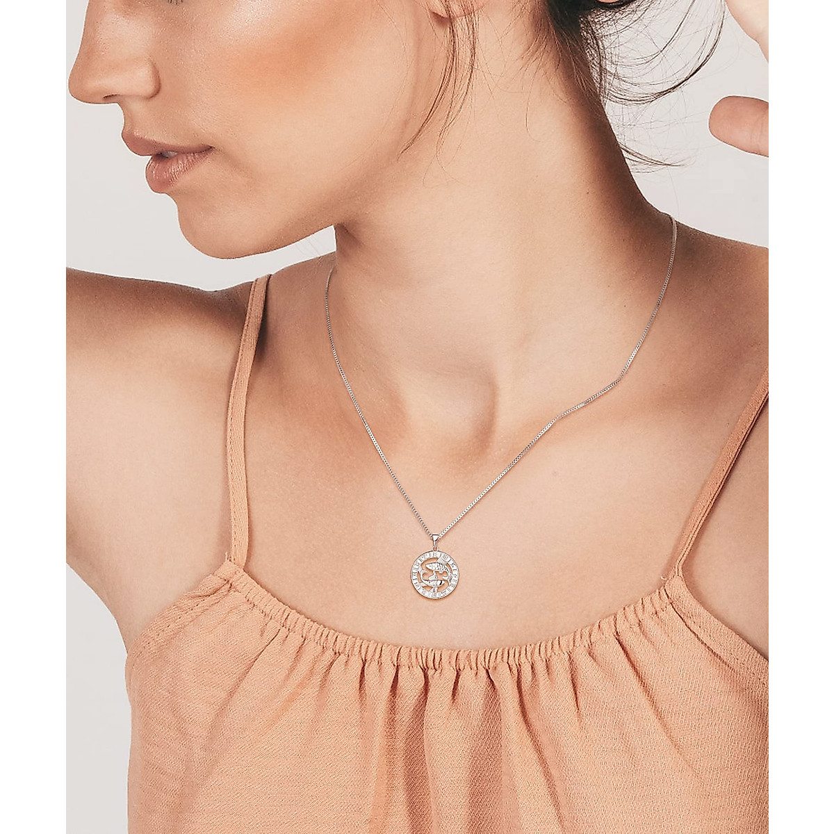 YL Pisces Constellation Necklace Sterling Silver Zodiac Jewelry Astrology Coin Horoscope Pendant for Women