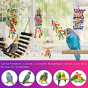 KATUMO Small Bird Toys, Natural Wood Ladder Colorful Bamboo Hanging Shredding Toys Parrot Chew Wooden Blocks Bird Perch for Parakeets, Conures, Cockatiels, Budgies, Love Birds and Other Small Birds