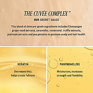Cuvee Shampoo - 10 fl oz - Cleanses, Fortifies & Protects Hair - Includes Vitamin B & Panthenol - Champagne-Infused Formula with Resveratrol & Ceramides - Color Safe