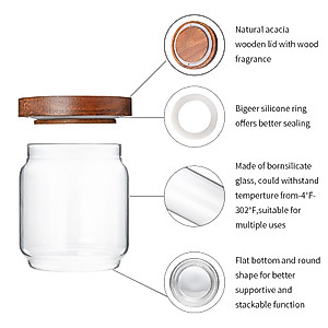 Homtop Glass Storage Containers Set of 4, 15 FL OZ High Borosilicate Glass Jars Kitchen Food Canisters with Acacia Wood Lids for Coffee Beans/Sugar/Tea/Nuts