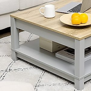 HOMCOM Coffee Table, 2 Tier Center Table with Storage Shelf and Wood Textured Top, Square Living Room Table, Light Gray