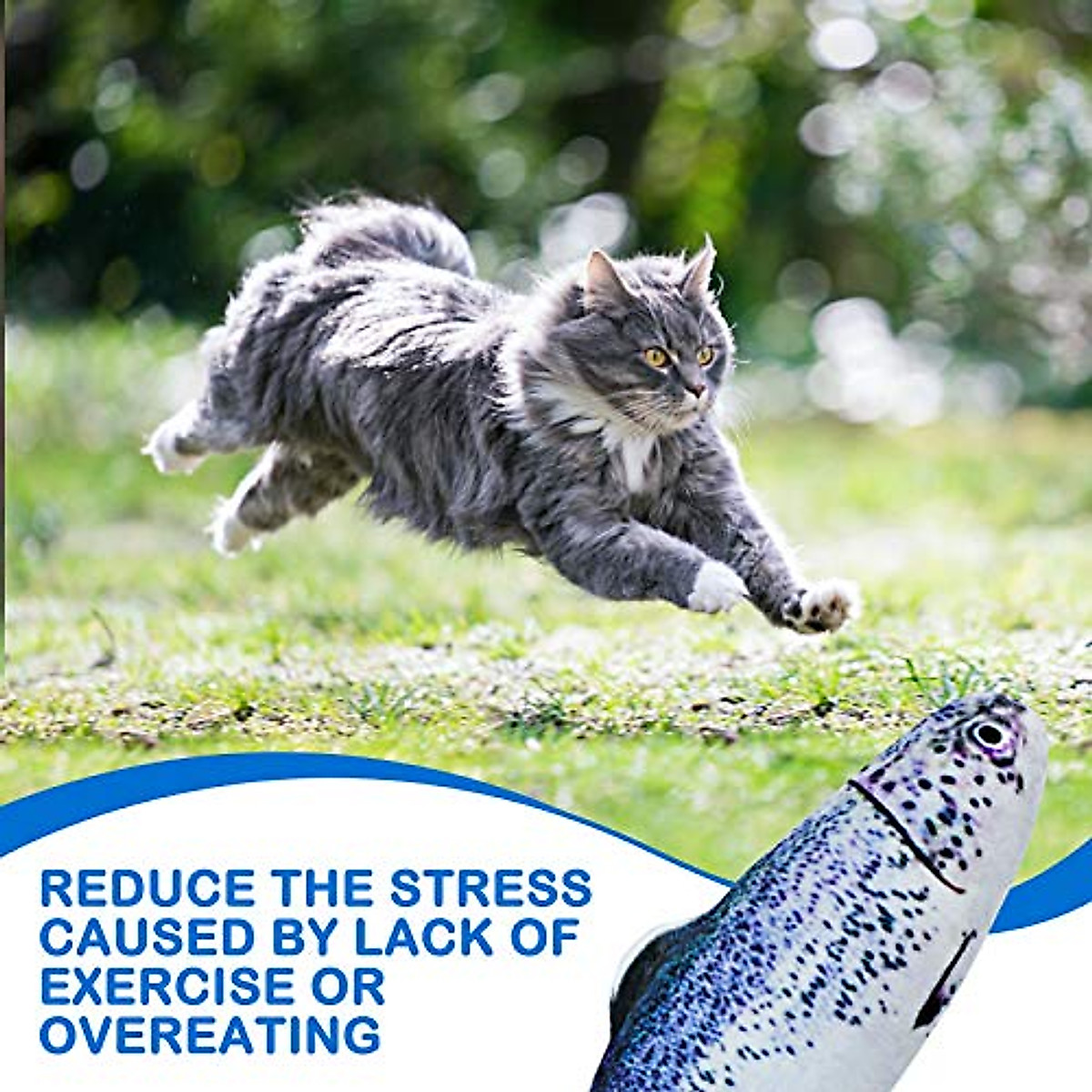 PJLJY 5Pcs Catnip Toy, Plush Fish Cat Toy, Cat Chew Toy, Catnip Filled Cartoon Fish with Bell Inside for Interactive Kitty Chew Toys Cat Teething Cat Exercise