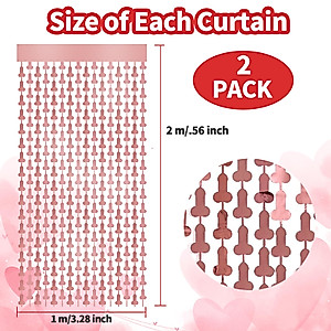 2 Pack 3.3ft x 6.6ft Metallic Foil Fringe Curtain for Bachelorette Party Decorations Supplies, Shiny Tinsel Curtains Streamers Photo Booth Props for Bridal Shower Hen Parties Girls Night Out