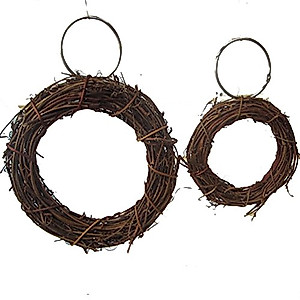 Natural Rattan Hoop Chew Toy for Parakeet Budgie Cockatiel Conure Macaw Lovebird Hanging Cage (L)