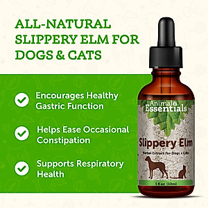 Animal Essentials Slippery Elm - Herbal Extract for Dogs and Cats, Promotes Healthy Digestion, Bowel Function, Certified Organic Herbs, All Natural, Respiratory Health, Liquid Formula - 1 Fl Oz