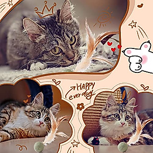 HyDren 6 Pcs Interactive Cat Toy Catnip Feather Ball Compressed Natural Catnip Lollipop Natural Cat Kicker with Feathers for Kitty