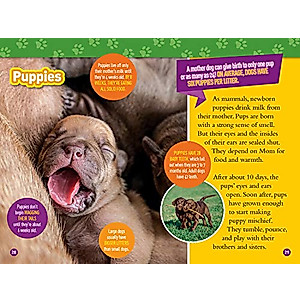 Woof! (National Geographic Kids Readers, Level 3): 100 FUN Facts About Dogs