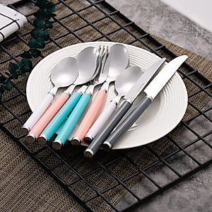 Cutiset 24 Pieces Stainless Steel Kitchen Flatware Set with Organizer, Camping Silverware Set with Colored handles,Set of 6