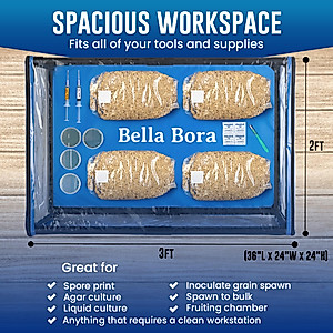 Bella Bora Still Air Box Mycology (Sturdy) Mushroom Grow Box Alt to Laminar Flow Hood Fume Hood for Lab Mycology Supplies by USA Mycologists V2 (Large)