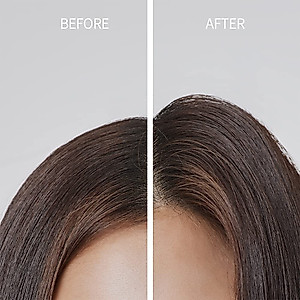 AMOS PROFESSIONAL The Green Tea Shampoo [Moist - For Normal/Dry Scalp] 17.6oz (500g) | Anti-Thinning & Anti- Hair Loss Shampoo for Hair Growth and Moisture | Korean Hair Salon Brand