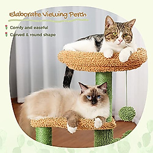 PAWZ Road Cat Tree 32 Inches Cactus Cat Tower with Sisal Covered Scratching Post, Cozy Condo, Plush Perches and Fluffy Balls for Indoor Cats