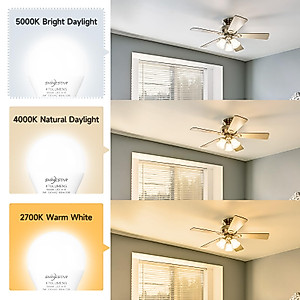 SHINESTAR 8-Pack Ceiling Fan Light Bulbs, A15 LED Bulb with E26 Base, 40W Equivalent, 5000K Daylight White, Non-Dimmable