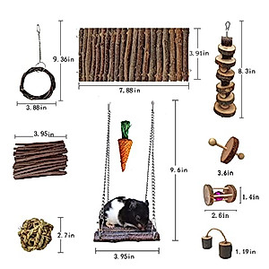Syhemtya Chinchilla Toys Hamster Chew Toys Guinea Pig Toys Rat Toys Hamster Cage Accessories Small Animal Teeth Care Apple Wooden Accessories Set,Ball Ladder Bridge Swing Roller for Playground