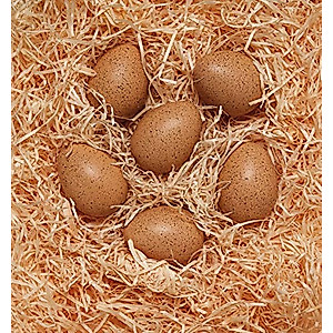 Yellow Door YUS1087 Sensory Sound Eggs, Kindergarten Grade to 3 Grade,Brown