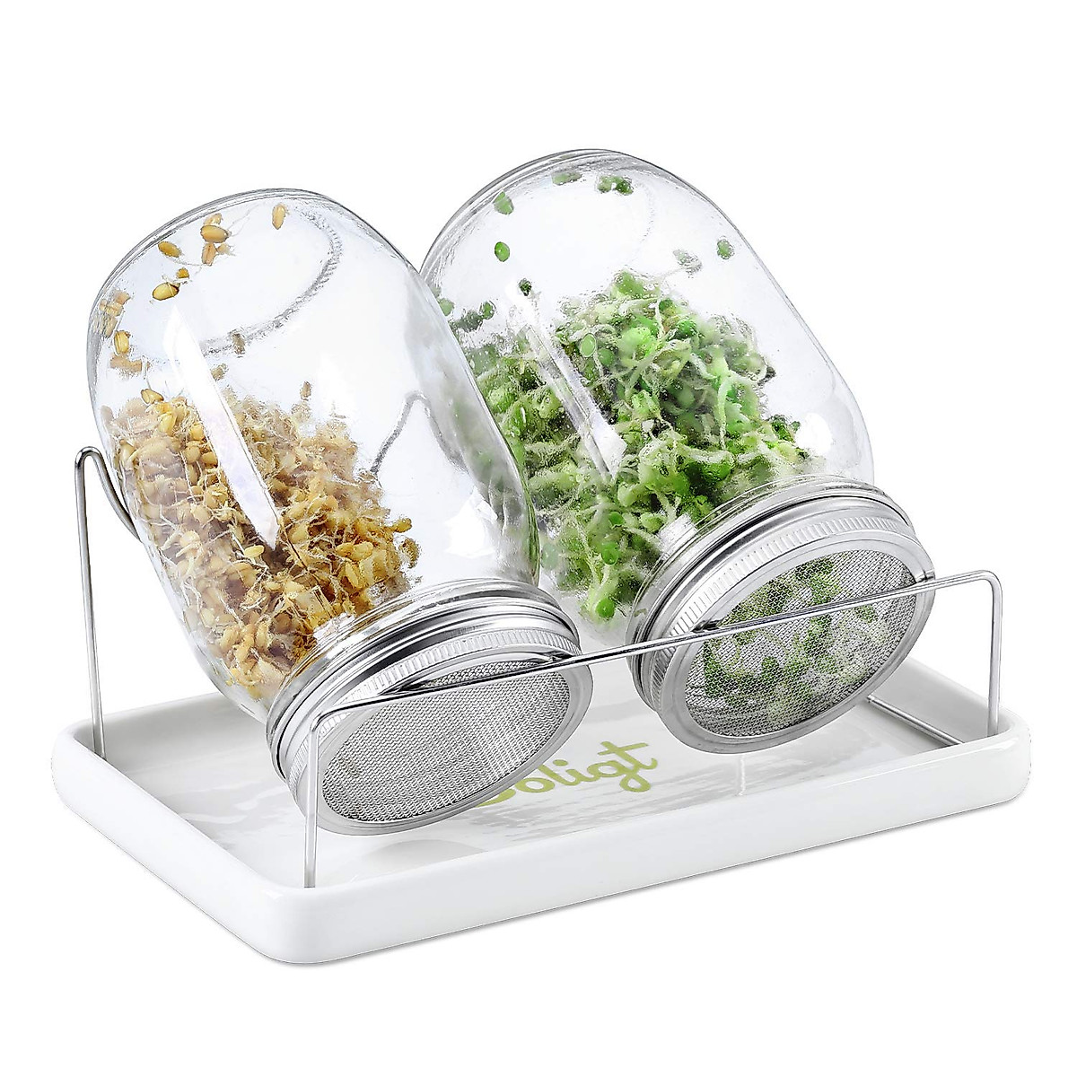 Complete Mason Jar Sprouting Kit - 2 Wide Mouth Quart Sprouting Jars with 316 Stainless Steel Sprouting Lids, Ceramic Drip Tray and Stand