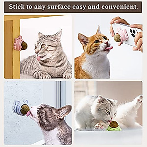 PODOO Catnip Toys for Cats, 3 Pack Edible Balls for Teeth Cleaning, Self-Adhesive and Rotatable Kitten Chew Toy, Safe and Healthy Wall Cat Toys