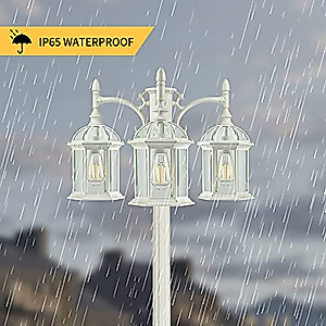 PARTPHONER 3-Head Outdoor Lamp Post Light Birdcage, Waterproof Outside White Street Light Pole with Clear Glass Shade for Yard, Garden, Patio, Path, Driveway