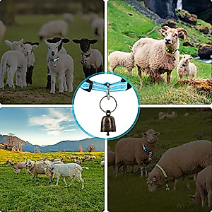 GINDOOR 5 Pack Reflective Goat Collars with Bells, Cow Horse Sheep Grazing Copper Bells and Adjustable Nylon Collar Set Pet Anti-Lost Loud Bronze Bell for Small Farm Animal Goat Sheep Cow Accessories