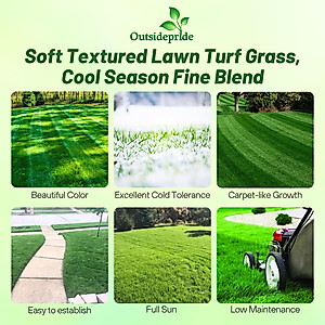 Outsidepride Midnight Kentucky Bluegrass Seed - 5 Lbs. Cold & Drought Tolerant, Sun-Loving Lawn Grass Seed, w/High Traffic Tolerance & Deep Root System, OptiGrowth Coated for Better Establishment