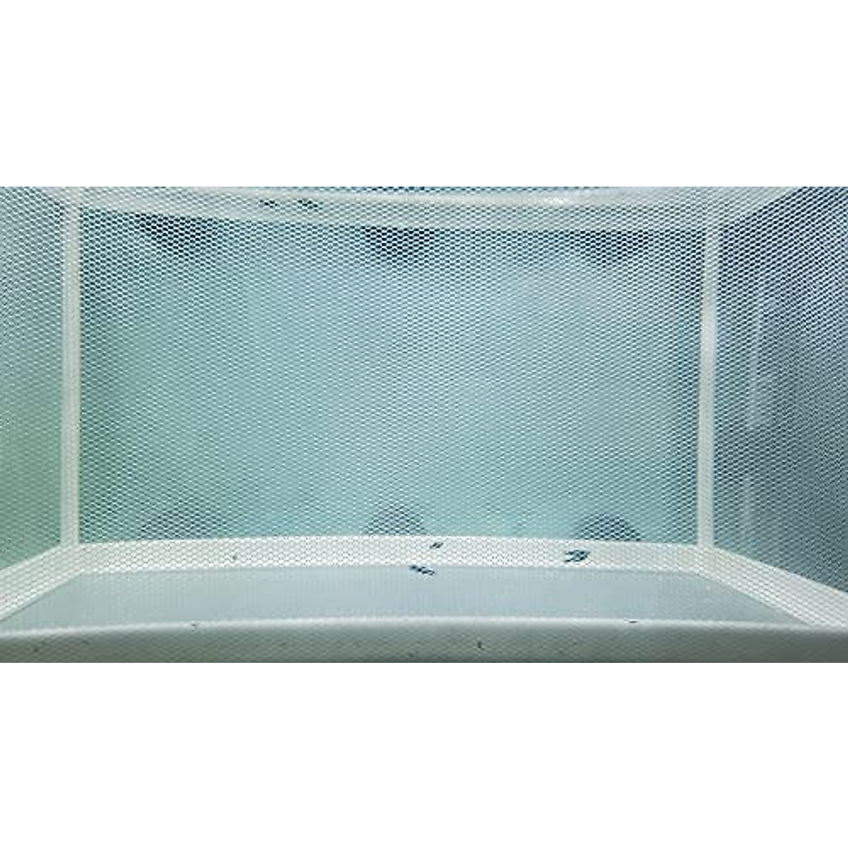 Large Fish Breeder Net with Suction Cups,Nylon Mesh Fish Fry Hatchery Breeder Isolation Box Separation Net for Fish/Plants/Shrimp Fish on Aquarium Tank