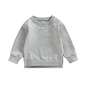 Gueuusu Toddler Kids Baby Boy Girl Crewneck Sweatshirt Cotton Long Sleeve Solid Color Pullover Top Casual Spring Fall Clothes (Light Gray , 6-12 Months )