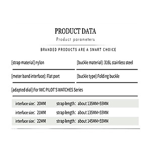 KKFAUS 20mm 21mm 22mm Nylon Fiber Leather Watchband Fit for IWC IW377729 IW389001 Big Pilot Watch Green Blue Black Watch Strap (Color : Blue silver 2, Size : 22mm)