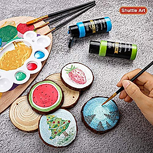 Metallic Acrylic Paint Set, Shuttle Art 20 Colors Metallic Paint in Bottles (60ml, 2oz) with 3 Brushes and 1 Palette, Rich Pigments, Non-Toxic for Artists, Beginners on Rocks Crafts CanvasWood Fabric