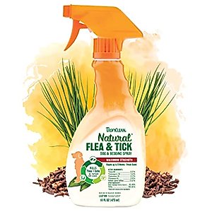 TropiClean Natural Flea and Tick Spray for Dogs & Bedding Maximum Strength Flea Spray for Home Family-Friendly & Safe Made in the USA 16oz