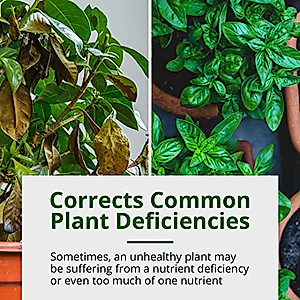 Humboldts Secret Calcium, Magnesium and Iron Supplement – Hydroponic Supplies – Liquid Nutrient Fertilizer – Supports Vegetative and Flowering Stage – 1 Quart