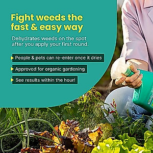 Sunday Weed Warrior, 32oz, 2 Pack - Grass & Weed Killer - Organic, Ready-to-Use Weed Killer Spray - Herbicide Spot Treatment - Kills Weeds, Grass, Algae and Moss