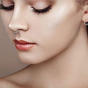 YSWUJIN 1pc Grade 23 Titanium Nose Rings 20G 18G 16G 14G Septum Jewelry Hinged Segment Ring Body Piercing Hypoallergenic Nose Hoop Lip Rings Nose Helix Cartilage Rook Earrings (16 Gauge, 6mm)