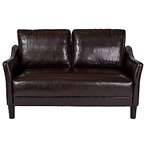 EMMA + OLIVER Living Room Loveseat Couch with Single Cushion in Brown LeatherSoft
