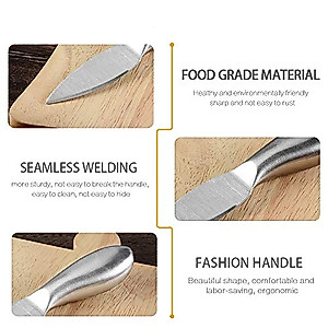 Enwinner 4 pcs Cheese Silcer Stainless Steel Buffet Colander Serving Cutter Fork Knife (Stainless Steel)
