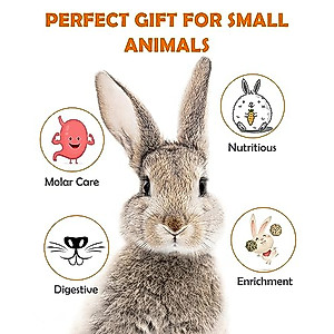 Sofier 14Pcs Timothy Hay Treats Rabbit Toys Bunny Toys Guinea Pig Toys Natural Chews for Teeth Handmade Rabbit Chews and Treats Chinchilla Rat Hamster Gerbil