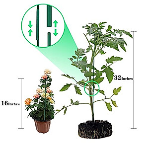 PFNRTH 4 Pack Plant Stakes,Plant Support Stakes for Two Sizes(16 or 32 Inches),Plant Stakes for Outdoor Plants,Garden Flower,Tomato(Green)