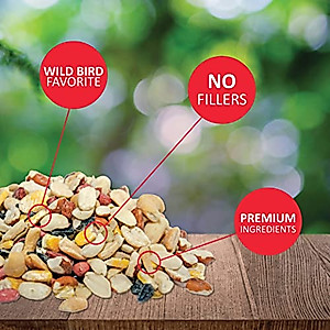 Lyric Fruit and Nut Wild Bird Seed - High Energy Wild Bird Food Mix - Attracts Woodpeckers, Chickadees & Other Songbirds - 20 lb bag