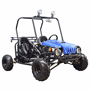 110cc Youth Go Kart Kids Go Cart Gokart 2 Seater Go Kart with Gloves, Google and Handgrip (Black)