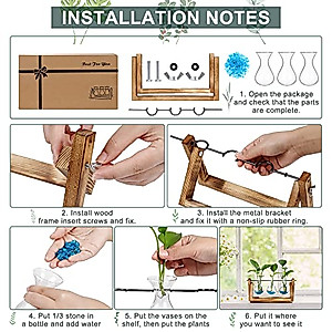 ONEPENG Propagation Stations,Birthday Gifts for Women,Home Garden Office Decor Plant Lover Gifts (3 Bulb Vase)