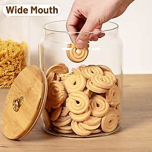 Totexil Large Glass Jars, 1 Gallon Thicken Glass Food Storage Jars with Bamboo Lids, Airtight Glass Canisters with Mental Handle, Kitchen Storage Containers for Cookie, Flour, Rice, Coffee Beans,Nuts